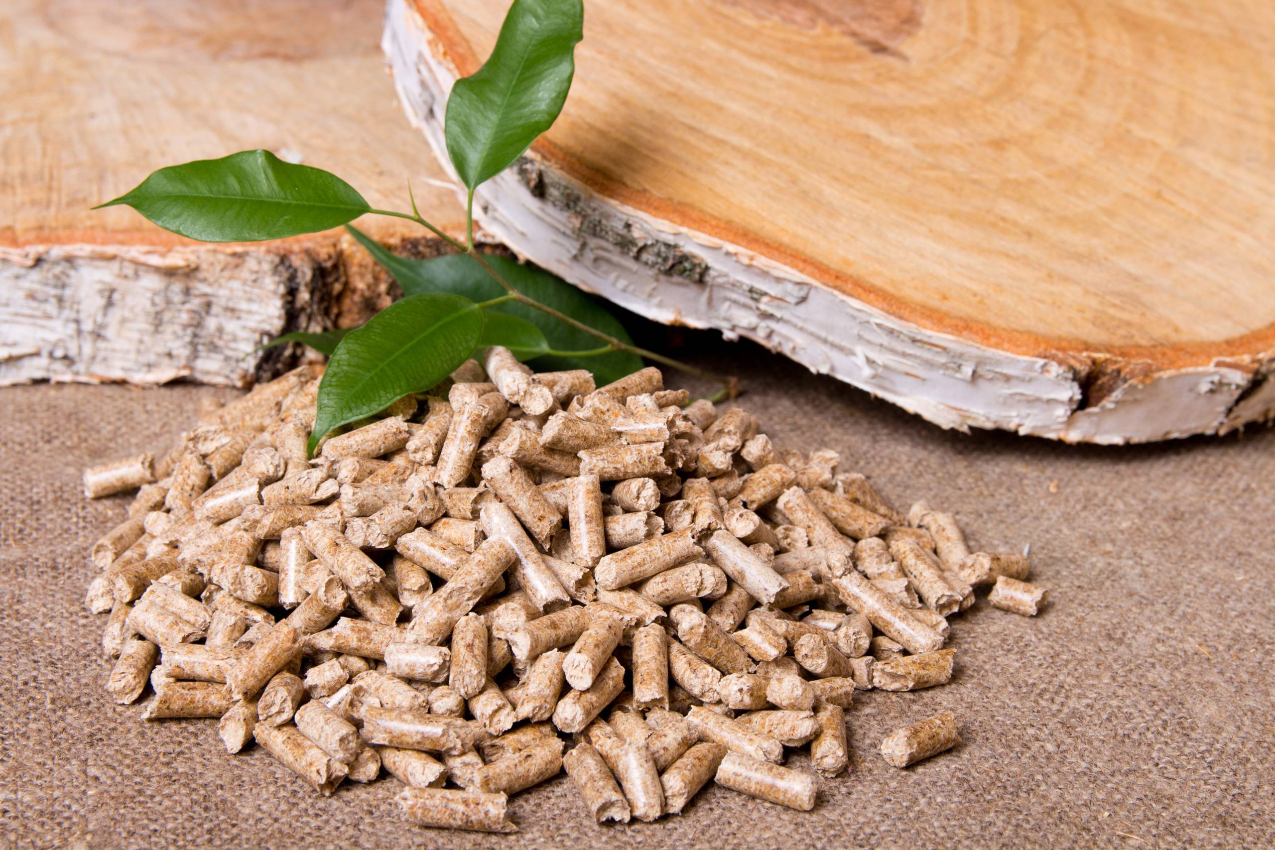 Wood Pellet Bio-Fuel Archives - African Forest Timber Ltd